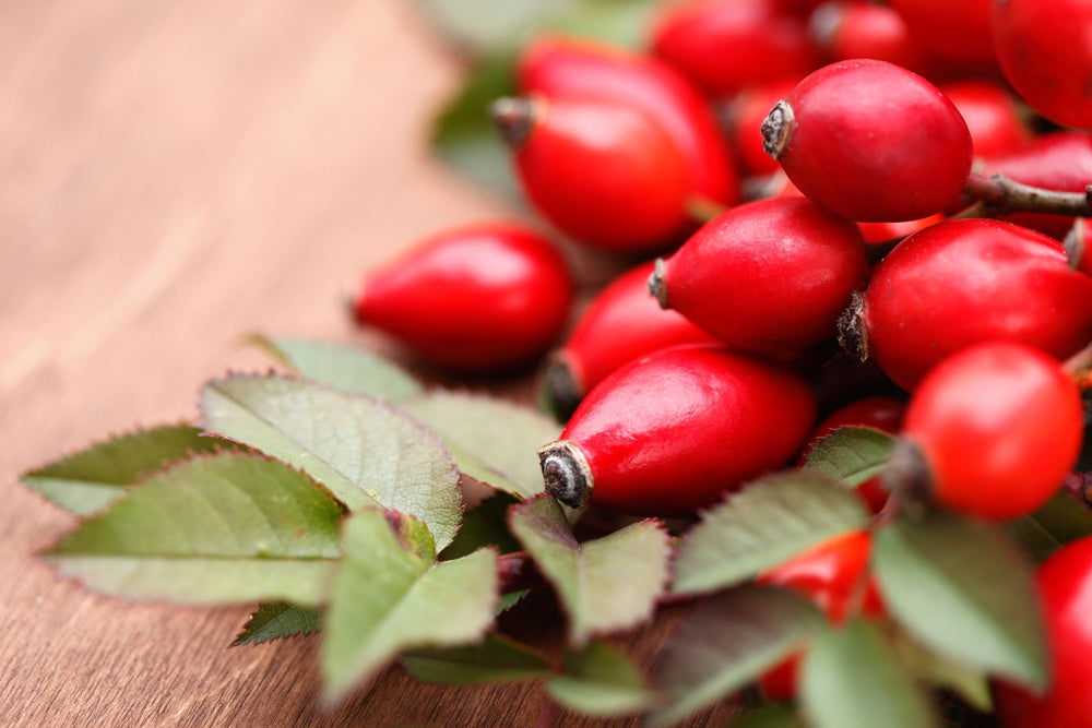 Discover Rosehip: History, Benefits & Flavour Journeys