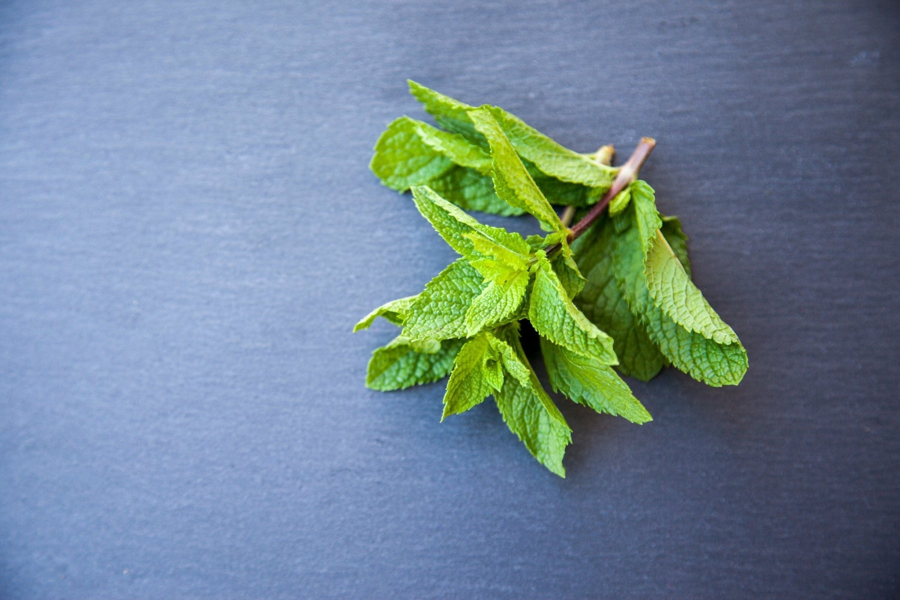 Discover Germany's Favorite Teas