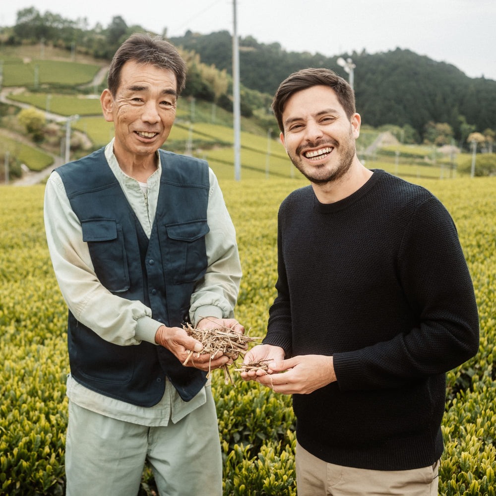 Yunnan Gold | Black Tea | Shop now